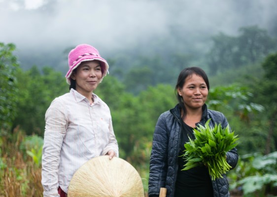 ECODIT supports the protection of Vietnam's forests